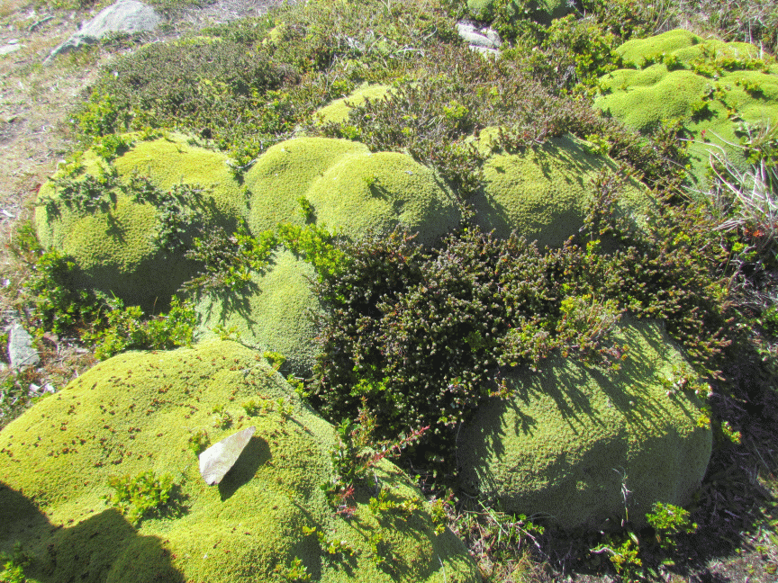 地の果て パタゴニア